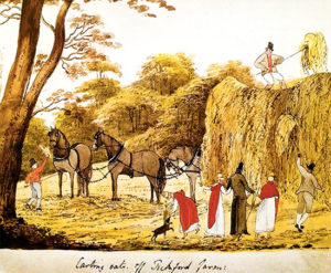 The Costumes in Emma. (2020)